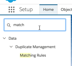Finding Duplicates using Salesforce Duplicate Jobs | sf9to5